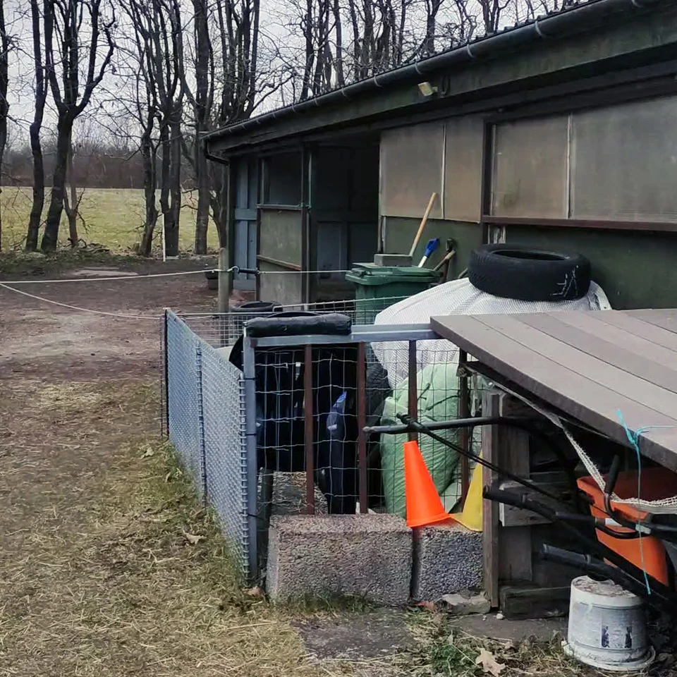 Nu kan du byde på græsareal til heste i Vallensbæk | Vallensbæk Kommune